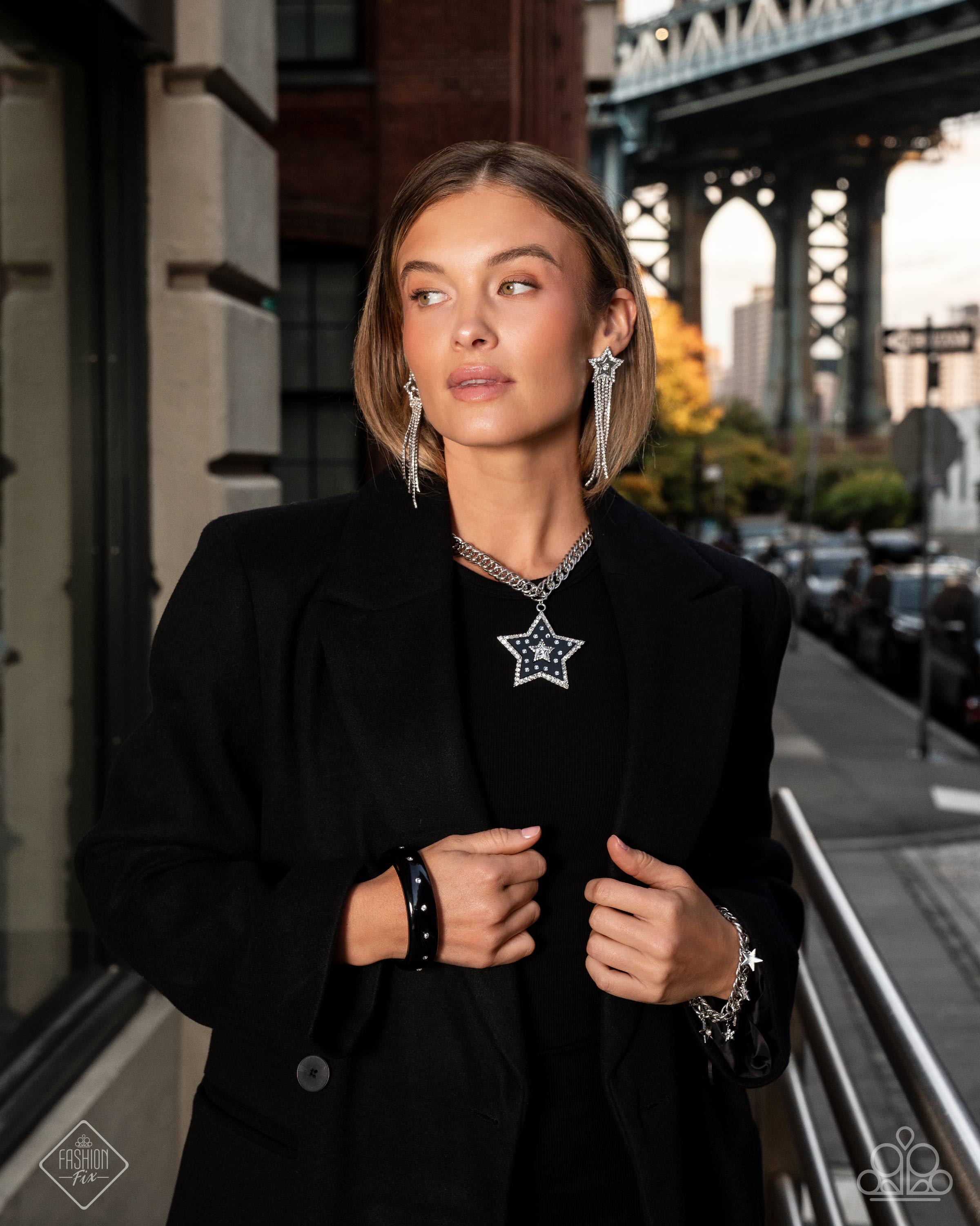 *FF* Paparazzi ♥ Magnificent Musings - Complete Trend Blend ♥ MM-0225 – LisaAbercrombie